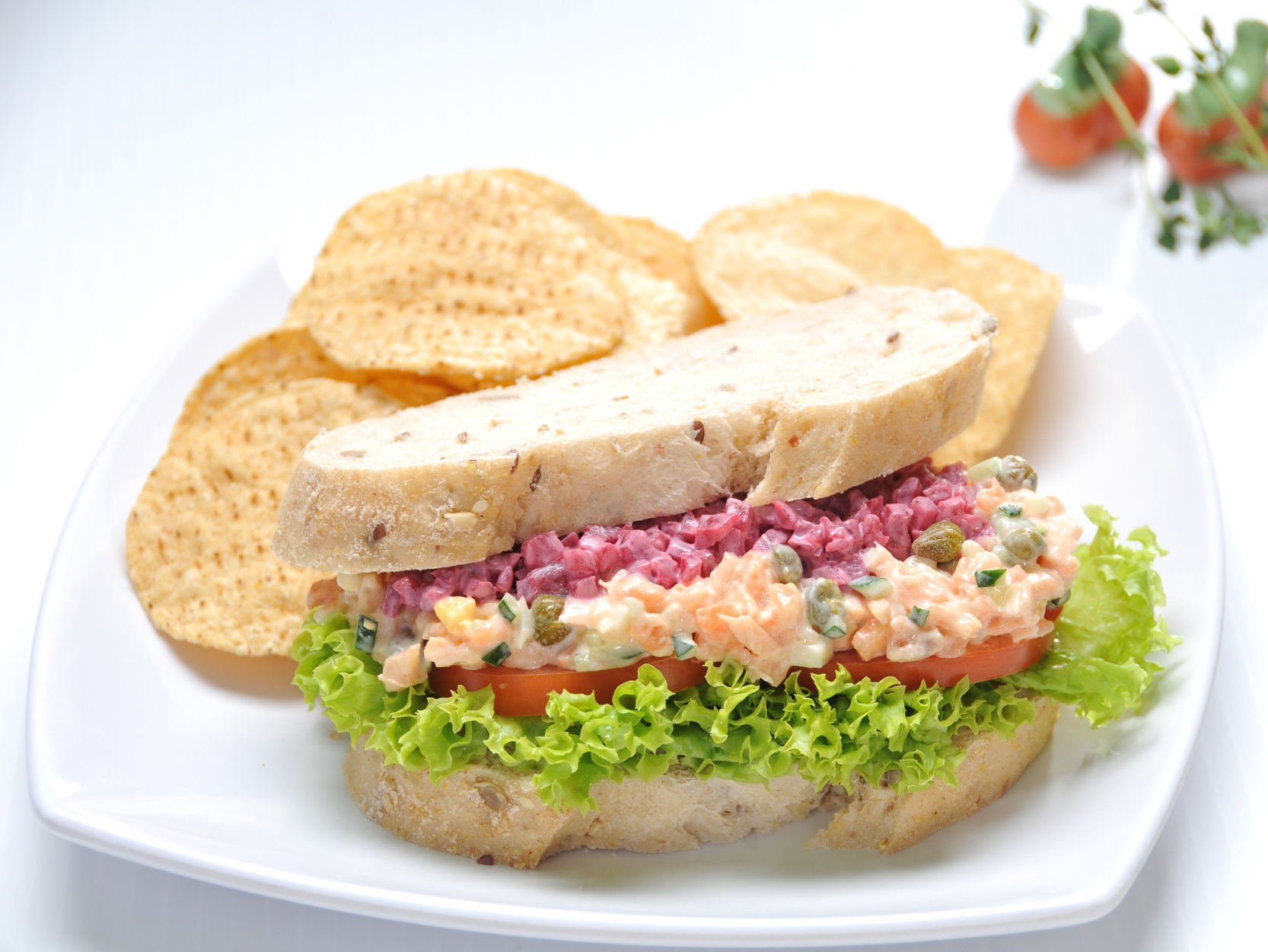 シンガポール動物園のおすすめレストラン情報 | もこす＠シンガポール